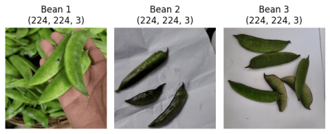 Convolutional Neural Network untuk Klasifikasi Gambar dengan TensorFlow - SAINSDATA.ID